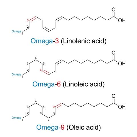 The effect of production system on the omega-3 and omega-6 fatty acid profiles of milk | Farming ...